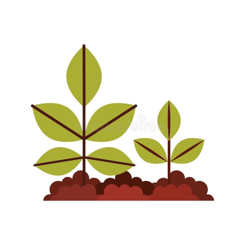 Icona Isolata Pianta Coltivata Illustrazione Vettoriale - Illustrazione ...