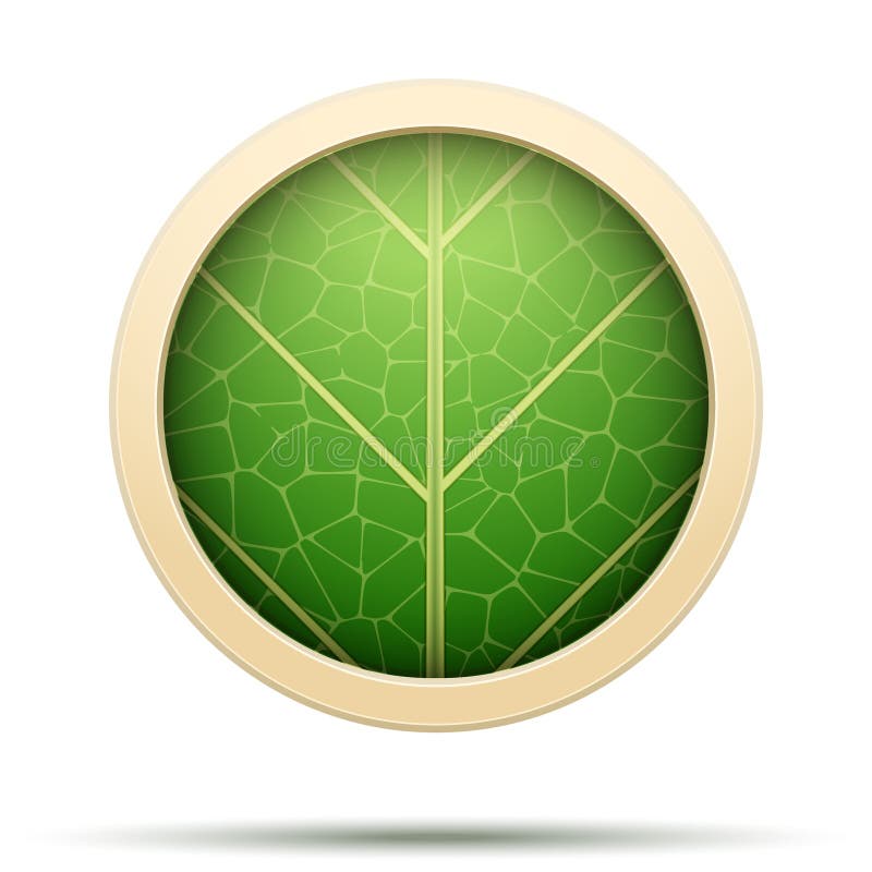 Icona rotonda delle foglie illustrazione di stock. Illustrazione di ...