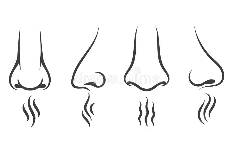 Naso E Pittogramma Di Vettore Di Senso Dell'odore Illustrazione ...