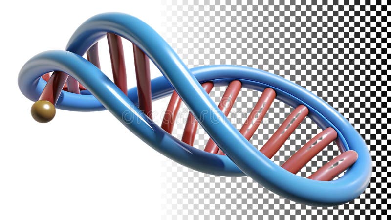 Double Helix DNA Strand, Genetic Code, Science, and Biology Png ...
