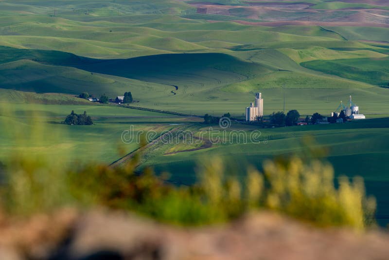Iconic Grain Silo in the Palouse with Green Fields Stock Image - Image ...