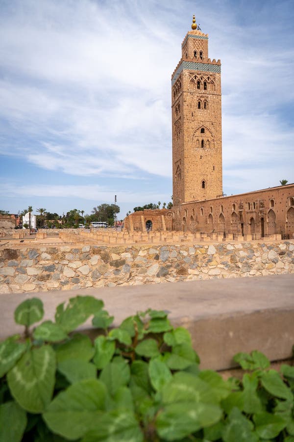 Koutoubia Mosque Tower in Marrakech with Greenery. Stock Illustration ...