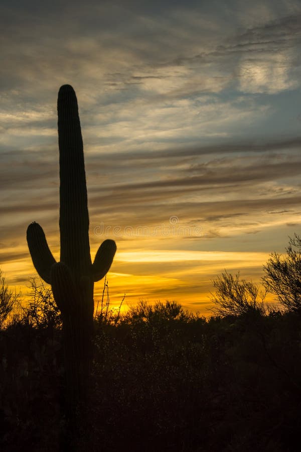 Iconic Southwest stock image. Image of double, dawn, landscape - 15724613
