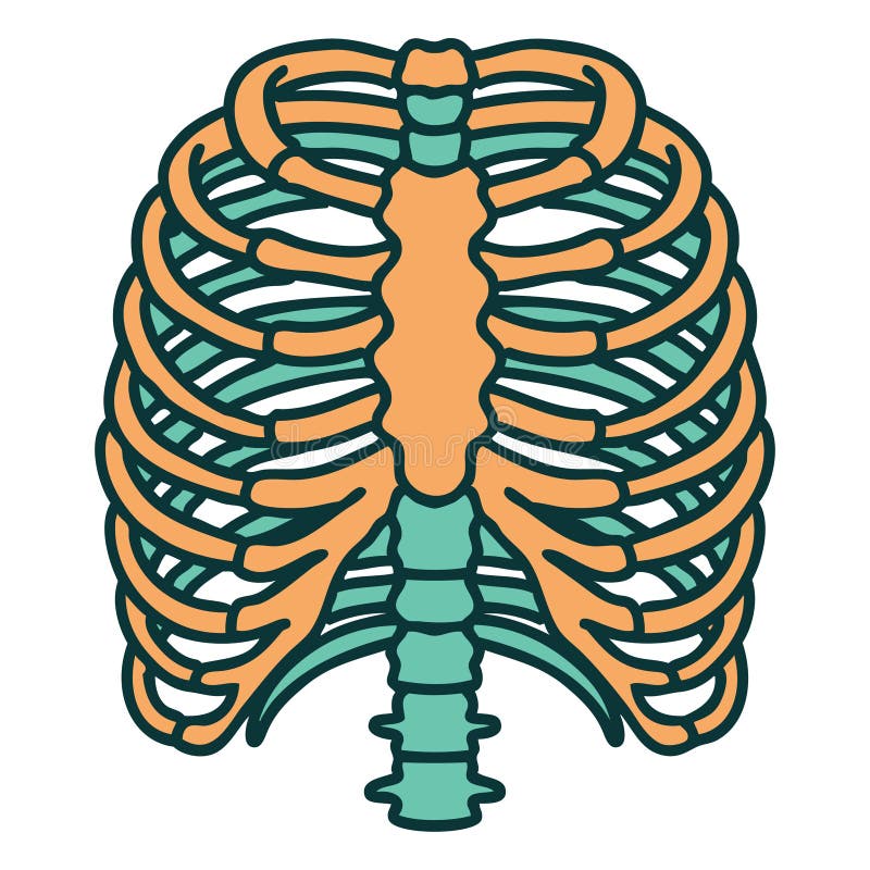 Human Rib Cage Symbols Stock Illustrations – 17 Human Rib Cage Symbols ...