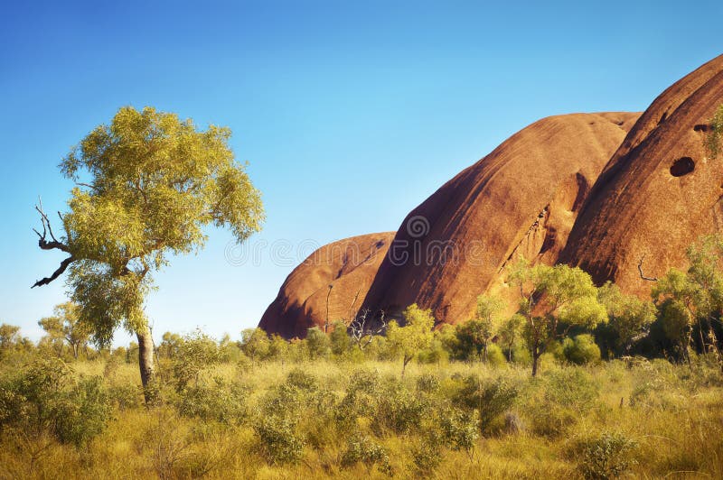 Iconic Uluru in Australia S Outback Editorial Photo - Image of ...