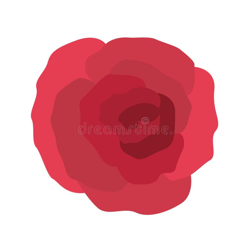 Icono Aislado Color De Rosa Hermoso Ilustración del Vector ...