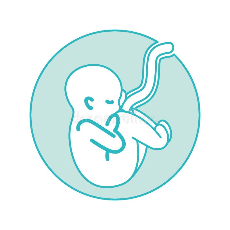 Icono aislado feto humano ilustración del vector. Ilustración de fetal ...