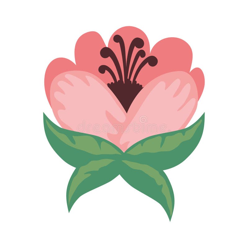 Icono de flor rosa y hoja ilustración del vector. Ilustración de planta ...