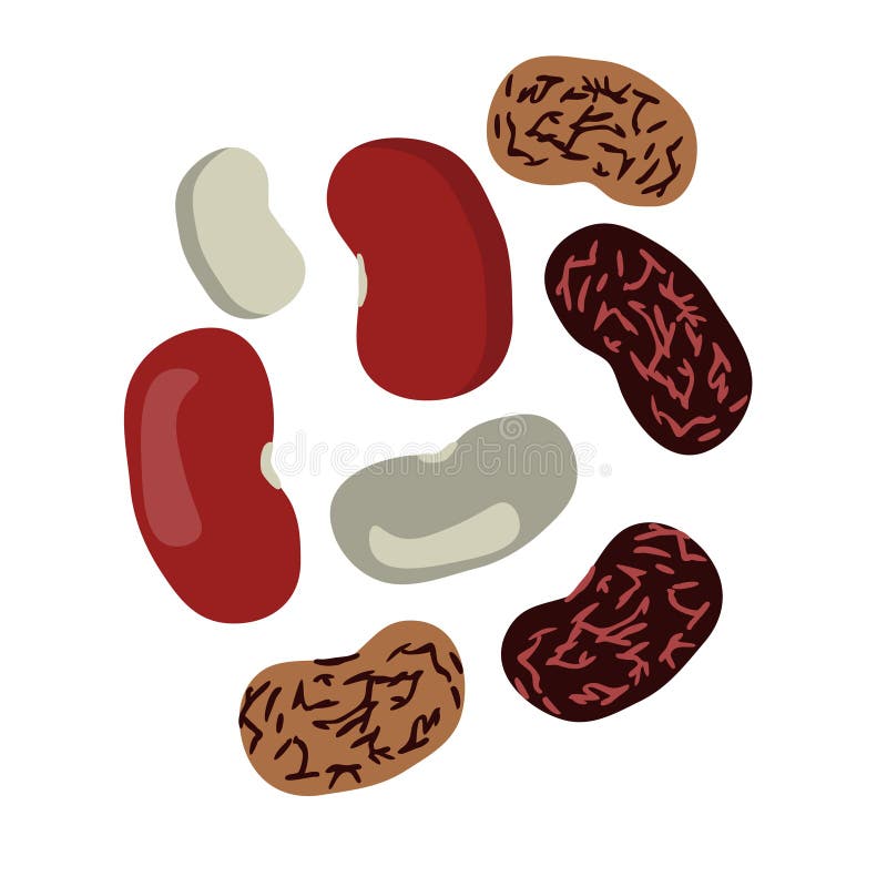 Icono de frijol ilustración del vector. Ilustración de habas - 178872282