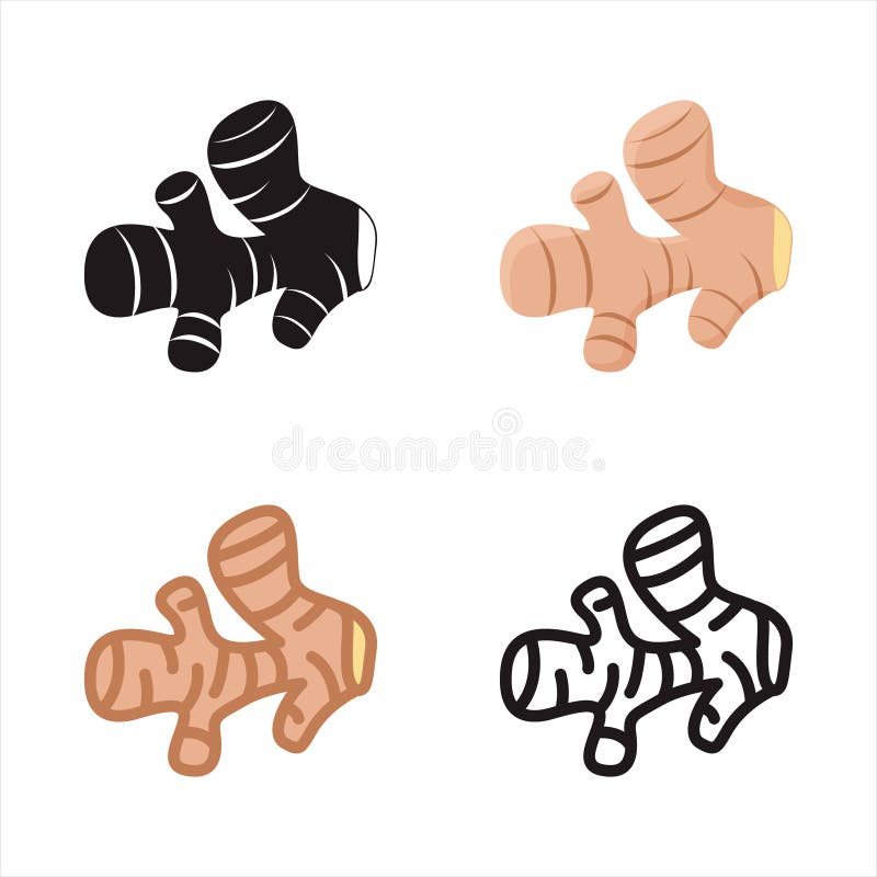 Icono De Jengibre En Cuatro Variaciones. Vector. Ilustración del Vector ...