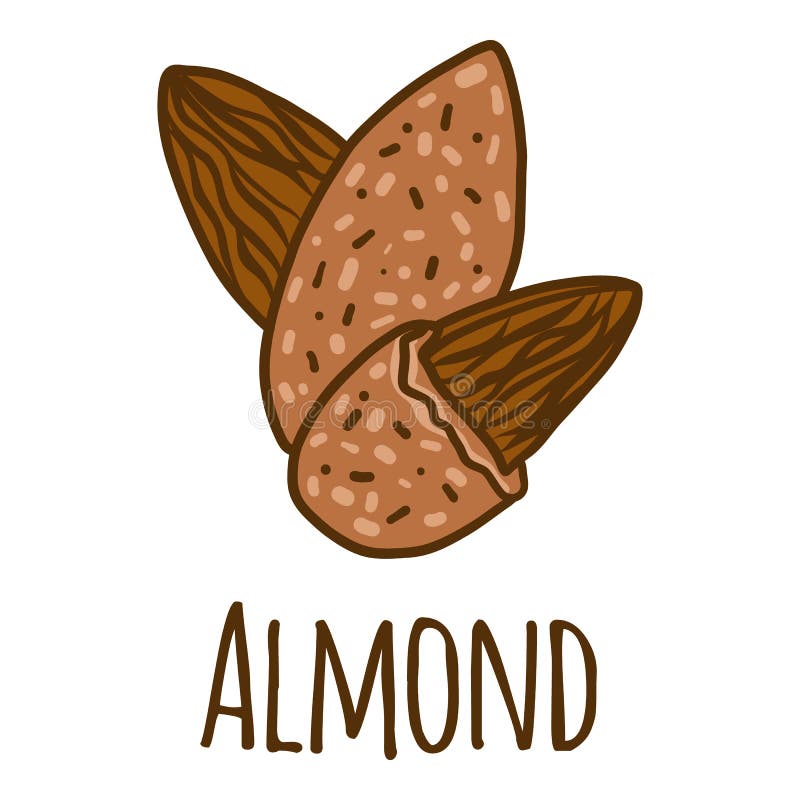 Icono De La Almendra, Estilo Exhausto De La Mano Ilustración del Vector ...