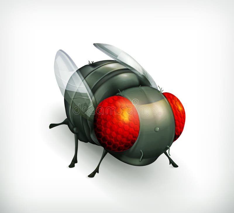 Icono de la mosca ilustración del vector. Ilustración de rojo - 34199783