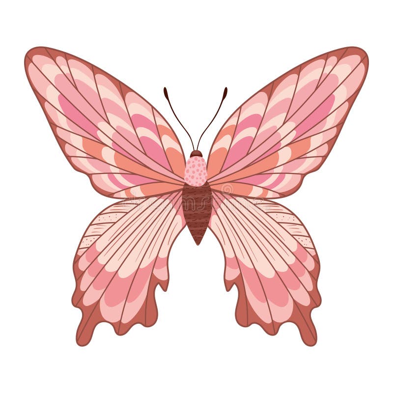 Icono de mariposa rosa ilustración del vector. Ilustración de tropical ...