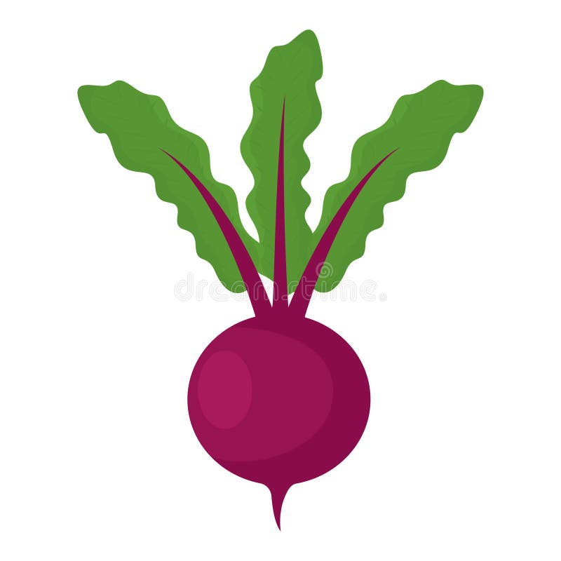 Icono De Remolacha Plana. Vector Ilustración del Vector - Ilustración ...