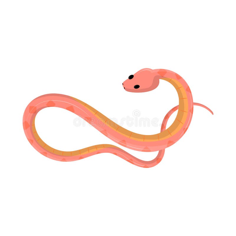 Icono de serpiente rosa ilustración del vector. Ilustración de reptil ...