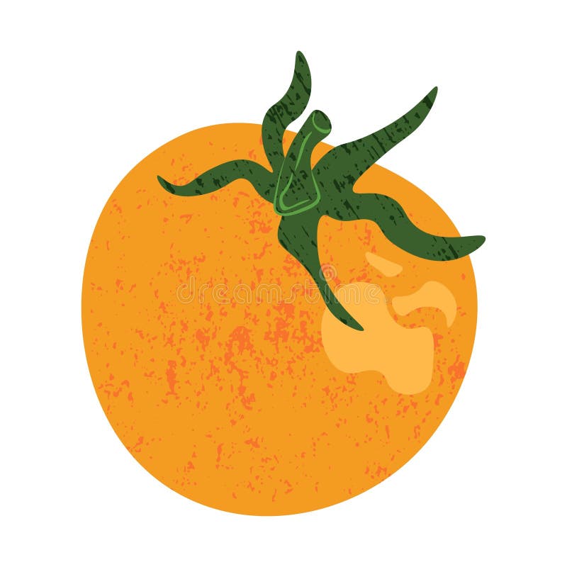 Icono de tomate. . ilustración del vector. Ilustración de producto ...