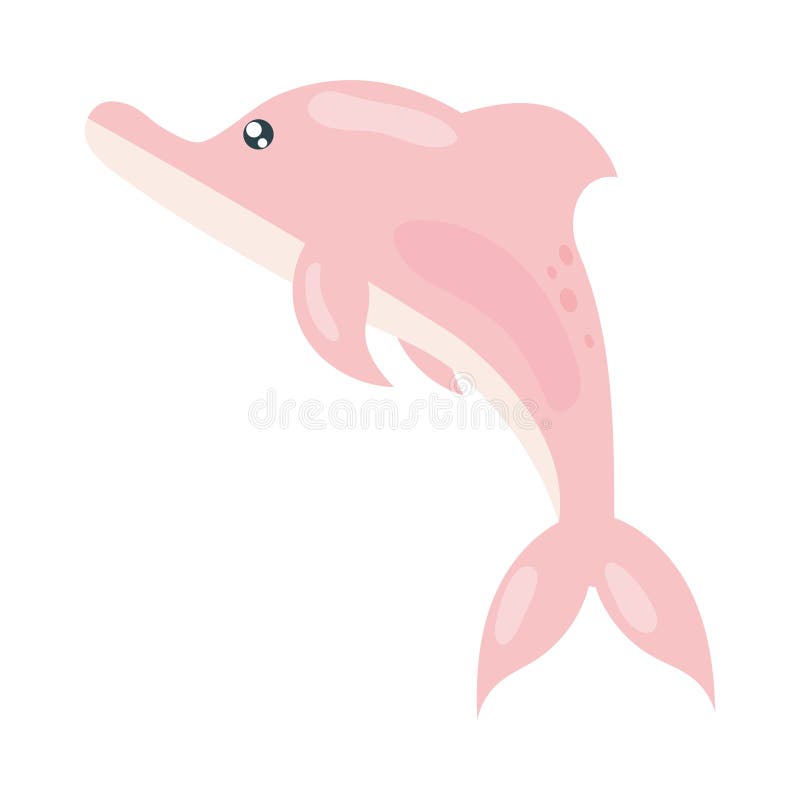 Delfín Rosado Saltando Ilustración De Vectores Aislada En Fondo Blanco ...