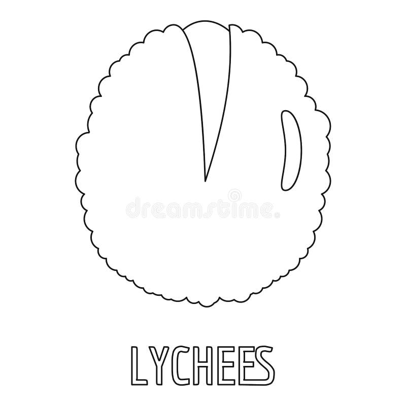 Icono Del Lichi, Estilo Del Esquema Stock de ilustración - Ilustración ...