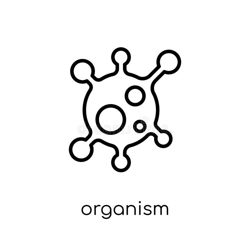 Icono Del Organismo Icono Linear Plano Moderno De Moda Del Organismo ...