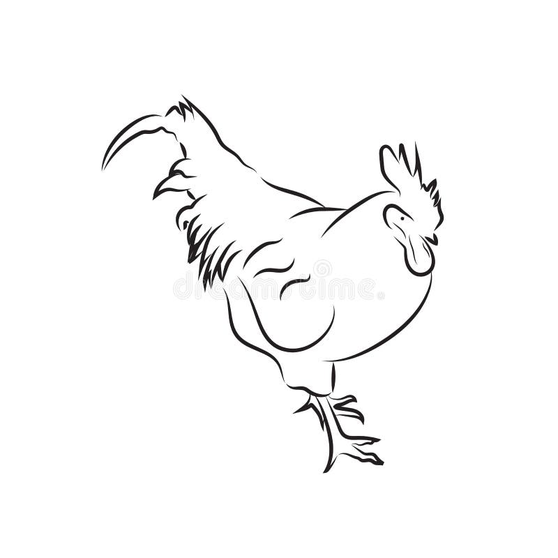 Icono del pollo ilustración del vector. Ilustración de carne - 142216975