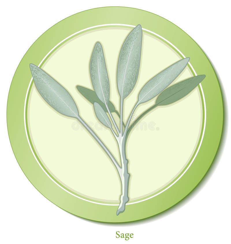 Icono del sabio de +EPS ilustración del vector. Ilustración de icono ...