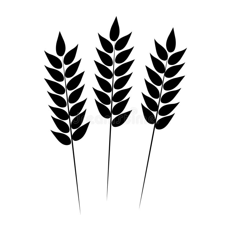 Icono Del Trigo Ilustración Del Vector Ilustración del Vector ...