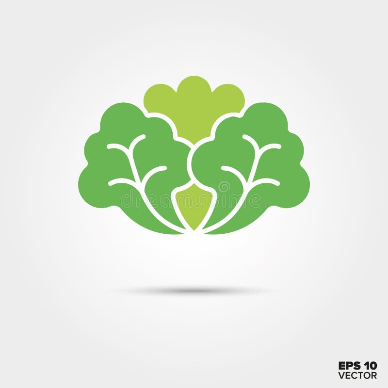Icono Del Vector De La Verdura De Hoja De La Lechuga Ilustración del ...