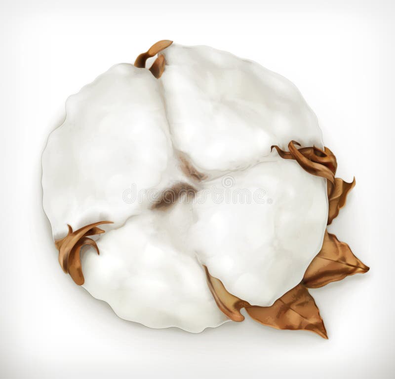 Icono Del Vector Del Algodón Ilustración del Vector - Ilustración de ...