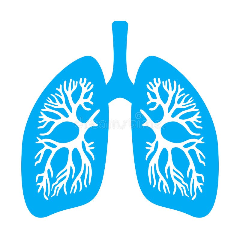 Icono Del Vector Del Diafragma De Los Pulmones Ilustración del Vector ...