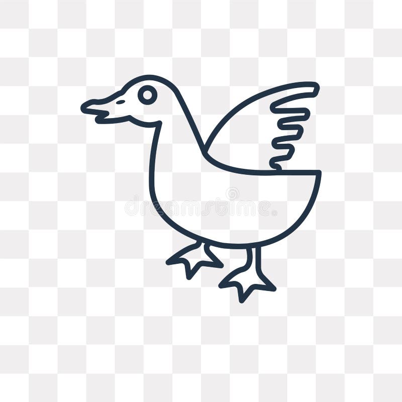 Icono Del Vector Del Pato Aislado En El Fondo Transparente, Pato Linear ...