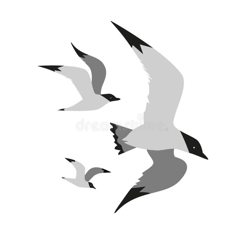 Icono Del Vuelo De La Gaviota Ilustración del Vector - Ilustración de ...