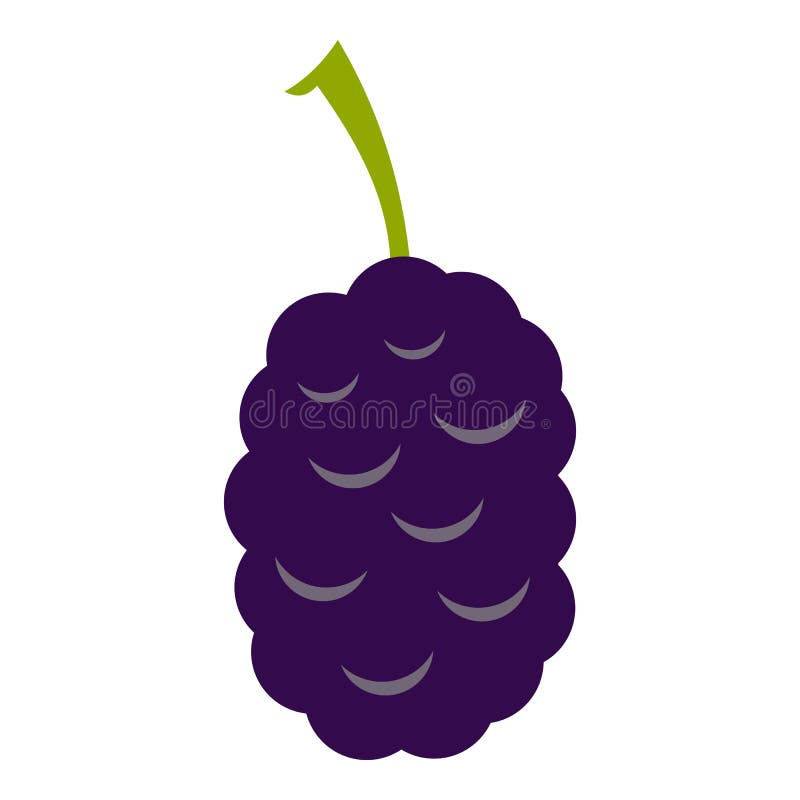 Icono fresco de la mora ilustración del vector. Ilustración de objeto ...