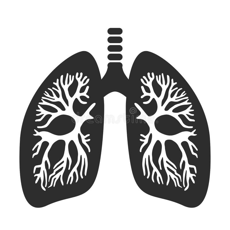Icono Del Vector Del Diafragma De Los Pulmones Ilustración del Vector ...