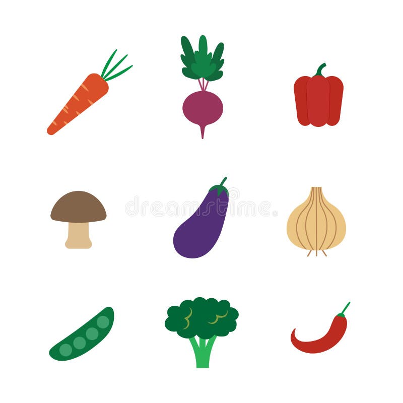 Icono vegetal ilustración del vector. Ilustración de cebolla - 66846950