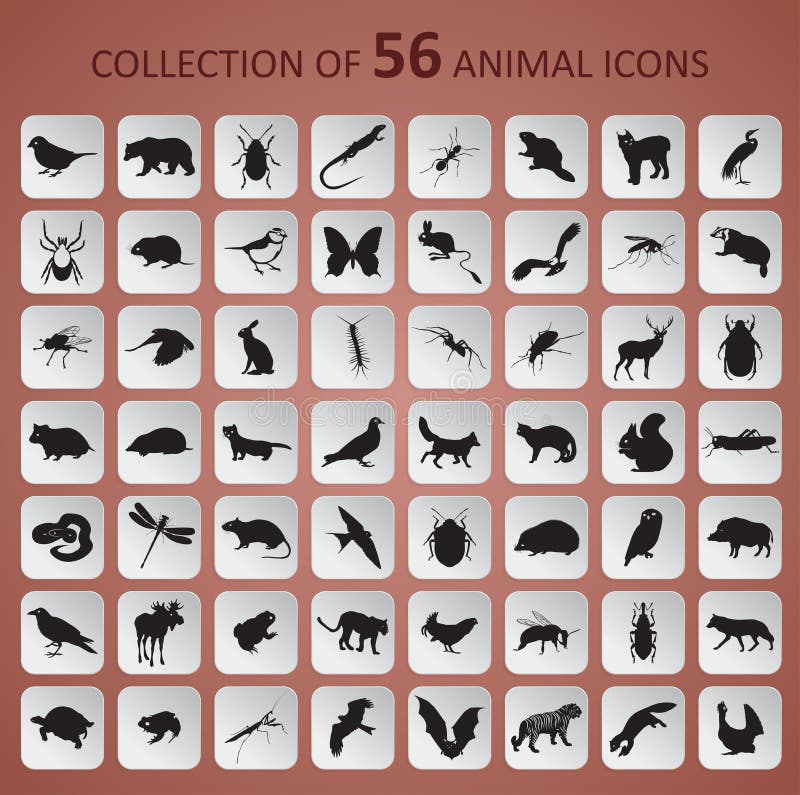 Iconos animales ilustración del vector. Ilustración de aislado - 37519397