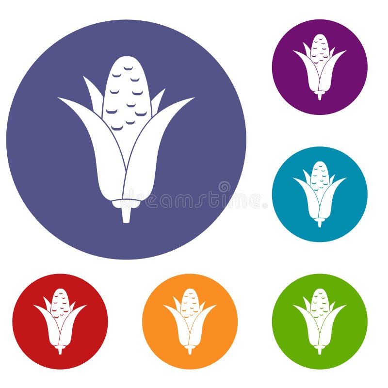 Iconos De La Mazorca De Maíz Fijados Ilustración del Vector ...
