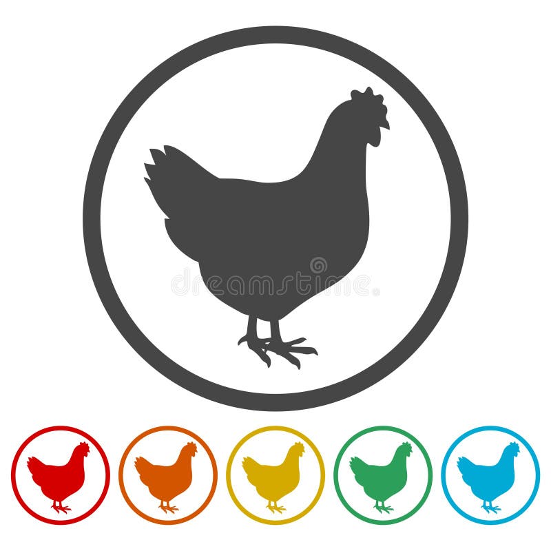 Iconos del pollo fijados ilustración del vector. Ilustración de ...