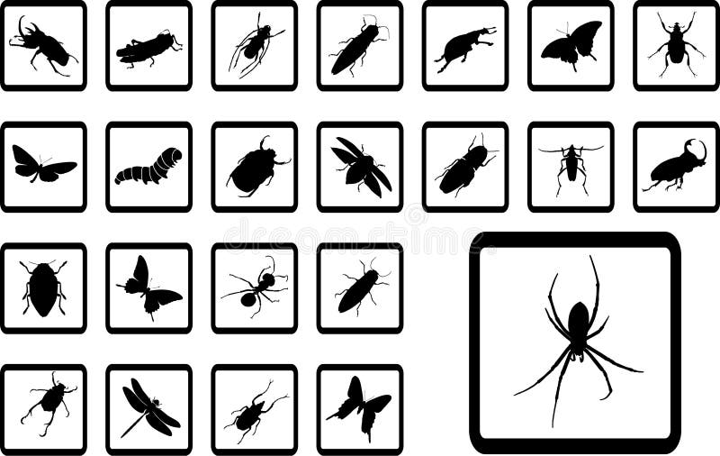 Fije Los Iconos - 102. Insectos Ilustración del Vector - Ilustración de ...