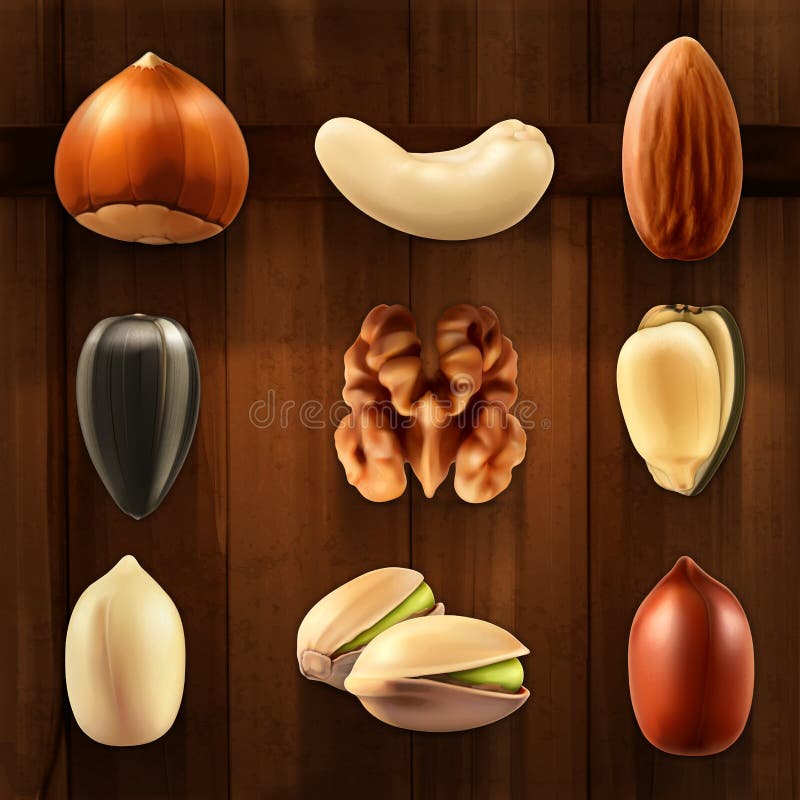 Ejemplo Nuts del vector ilustración del vector. Ilustración de duro ...