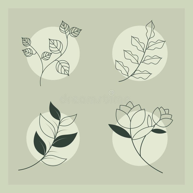 Delicate leaves plant stock vector. Illustration of branch - 237448139