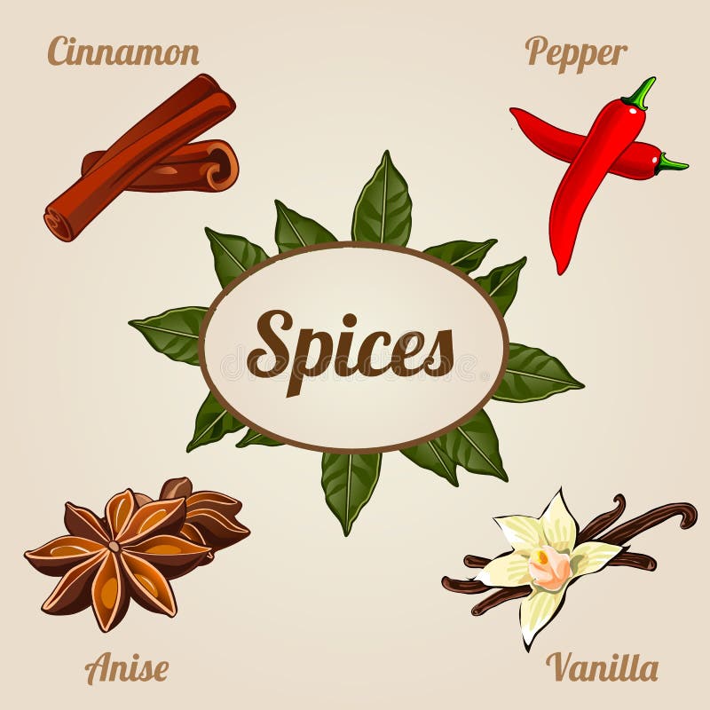 Icons Set of Four Spices with the Designation Stock Vector ...