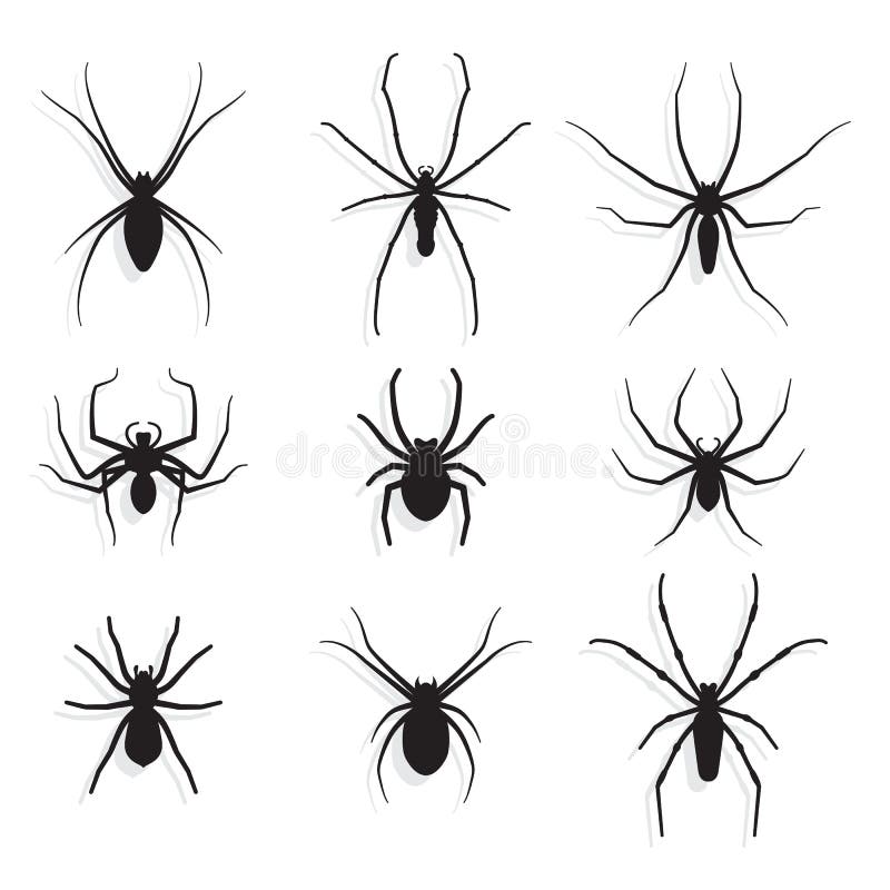 Icons spiders. stock vector. Illustration of creepy, scary - 77064537