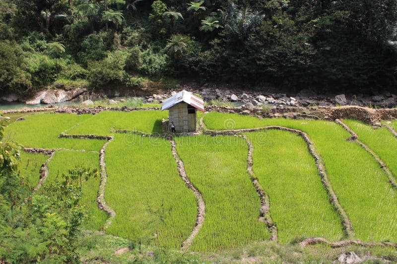 Icottage Stock Photos - Free & Royalty-Free Stock Photos from Dreamstime