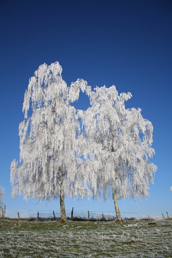 Icy Picture. Image: 2144463