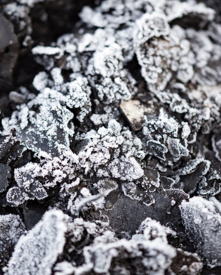 Icy Cold on Black Coals As Background Stock Image - Image of hoarfrost ...