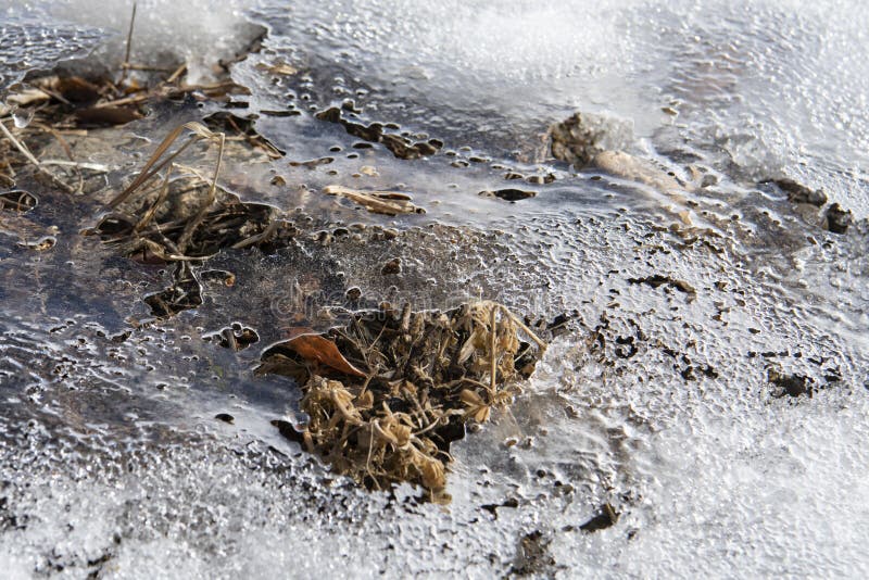 Icy crust on the snow stock photo. Image of melt, close - 214821272
