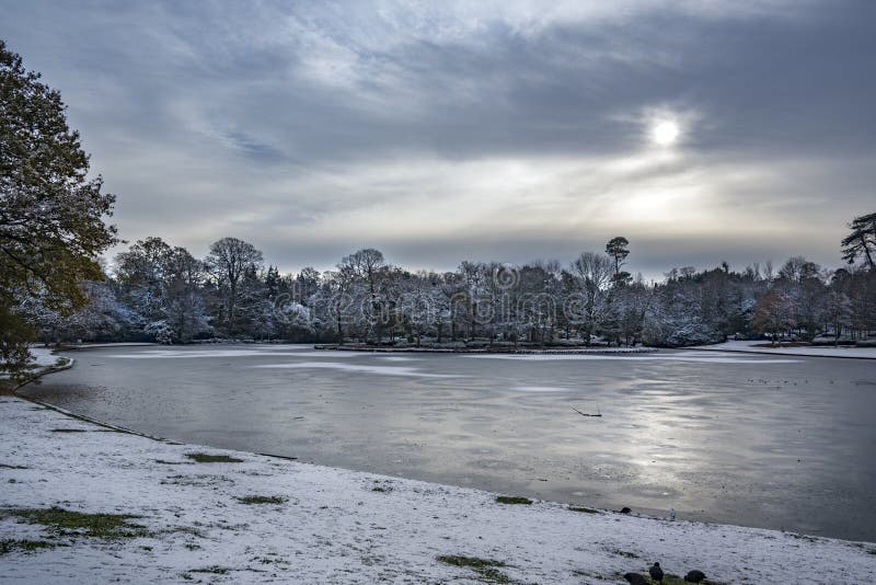 Icy lake in Surrey stock photo. Image of tranquil, haunts - 263937514