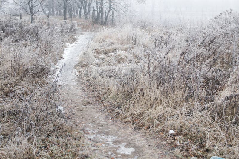 Icy path stock image. Image of route, crystal, outside - 50212257