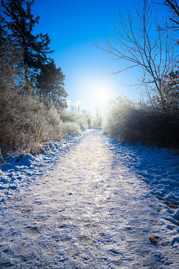 Icy Path in a Park on a Freezing Sunny Day.. Stock Photo - Image of ...