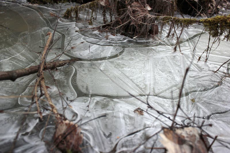Icy Pattern on the Puddle in the Forest Stock Image - Image of surface ...